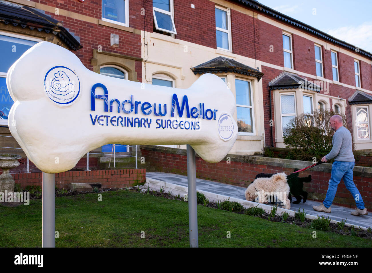 Vets veterinary surgeons hi-res stock photography and images - Alamy
