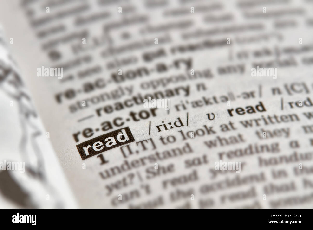 Read Word Definition Text in Dictionary Page Stock Photo - Alamy