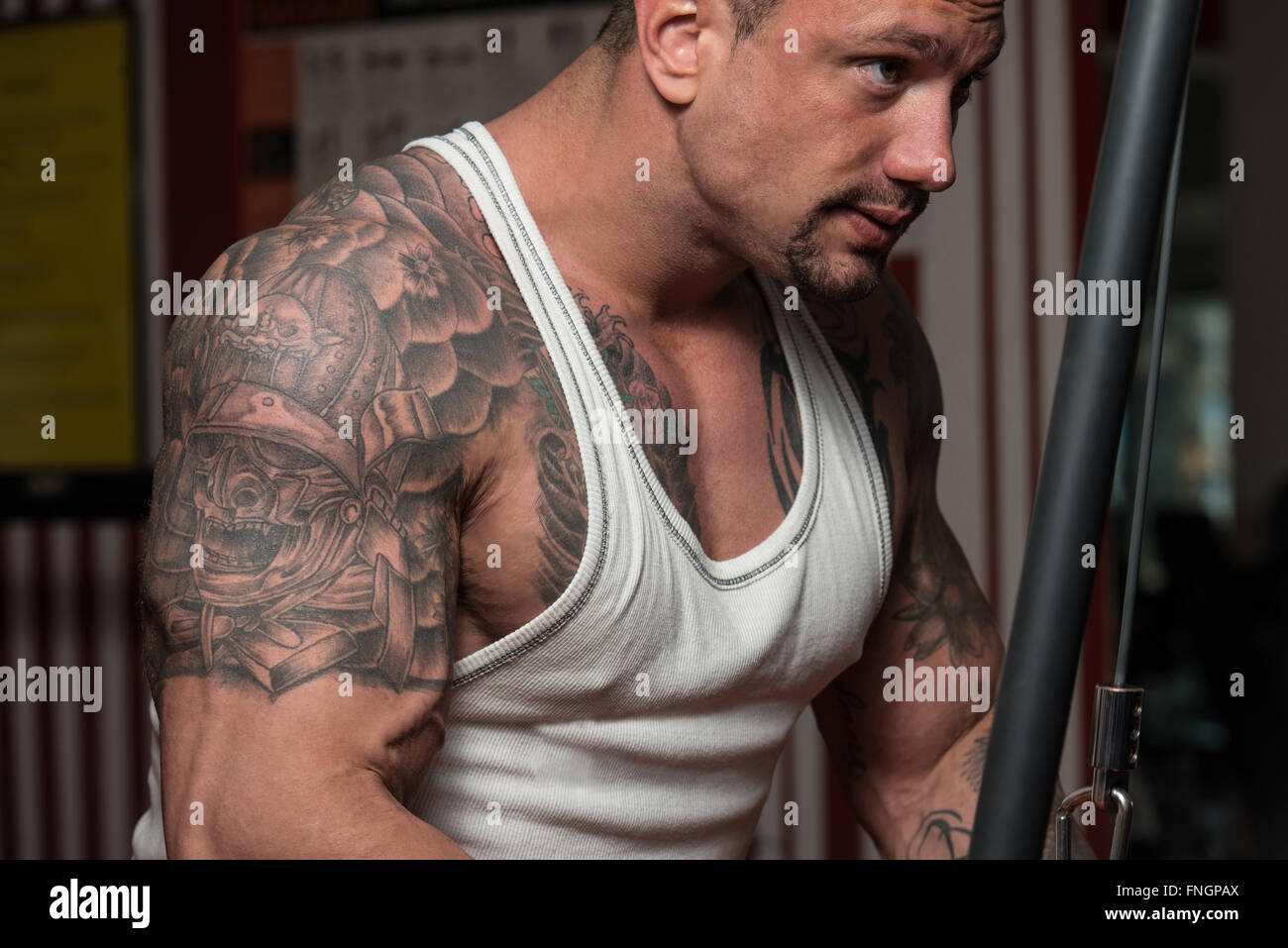 Adult Bodybuilder Doing Heavy Weight Exercise For Triceps Stock Photo ...
