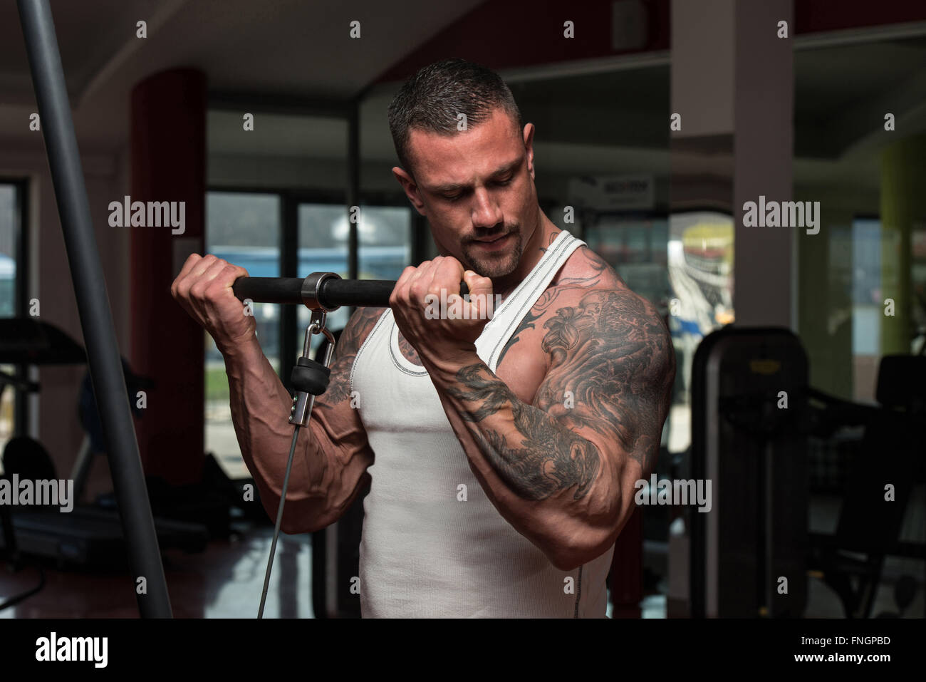 Adult Bodybuilder Doing Heavy Weight Exercise For Biceps Stock Photo ...