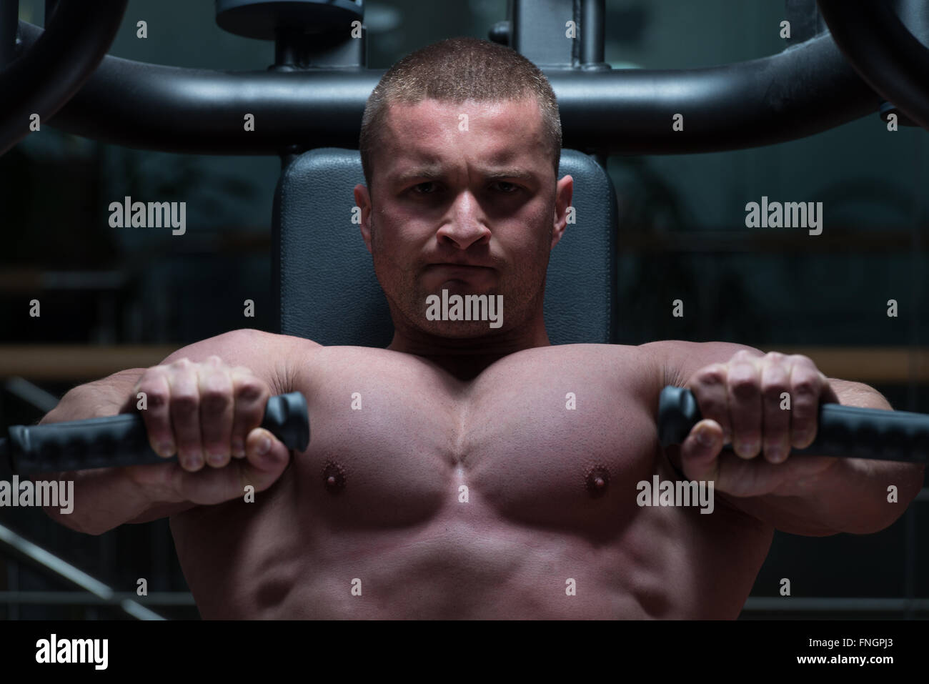 Bodybuilder Doing Heavy Weight Exercise For Chest On Machine Stock ...