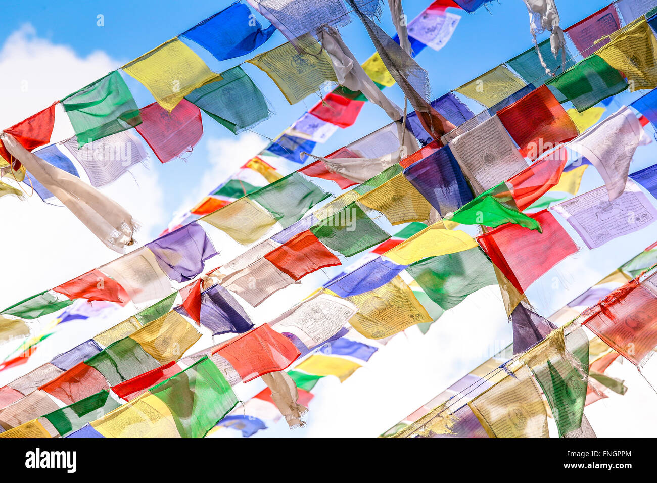 Many colorful nepalese flags flyng Stock Photo - Alamy