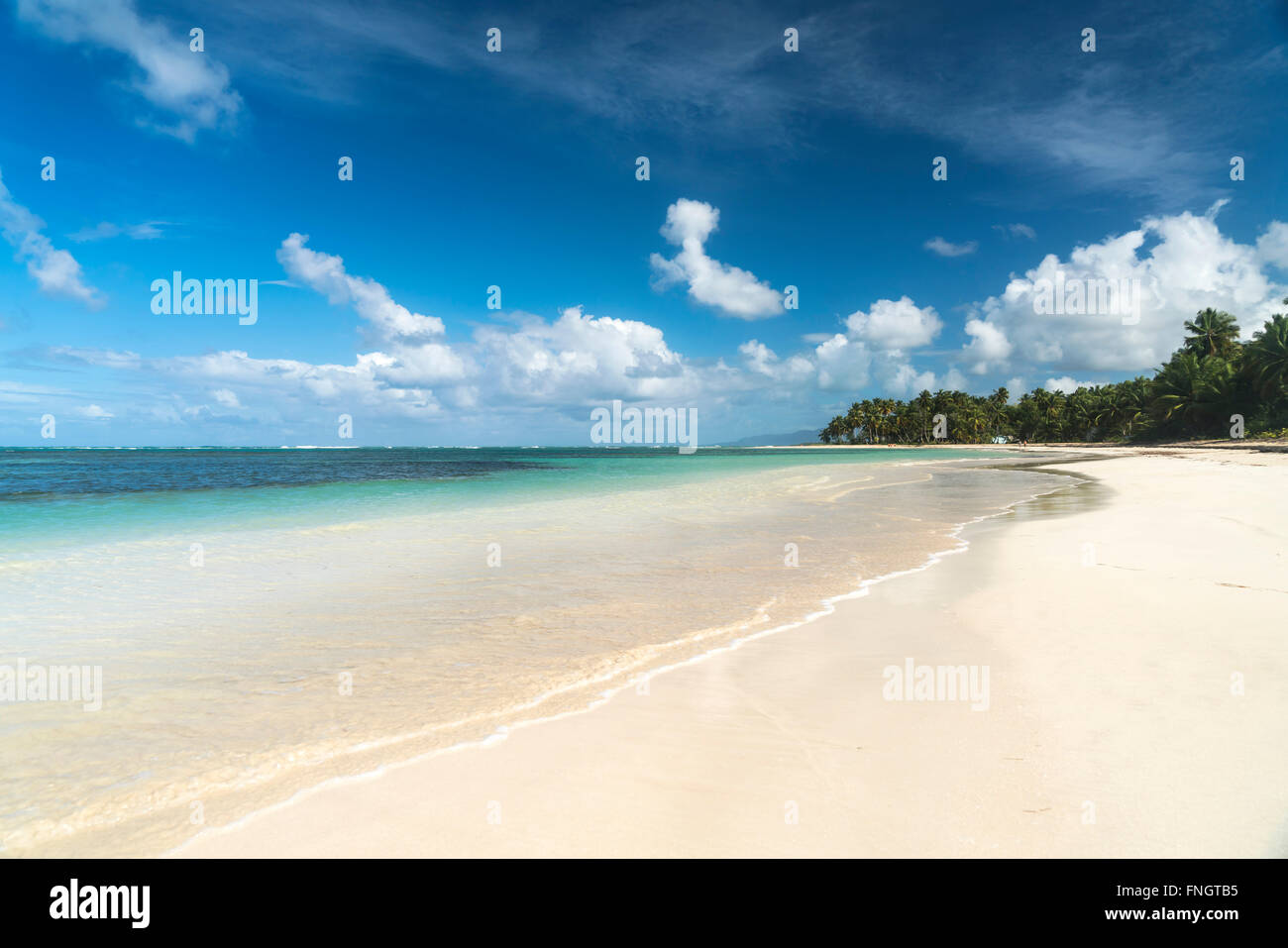 palm fringed sandy beach of El Portillo, Las Terrenas, Samana ...