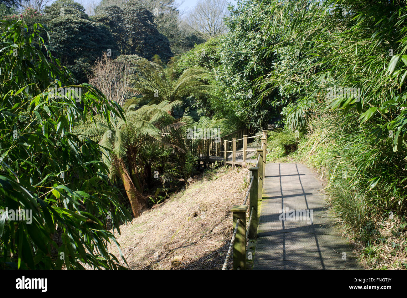 The Lost Gardens of Heligan, Cornwall, UK Stock Photo - Alamy
