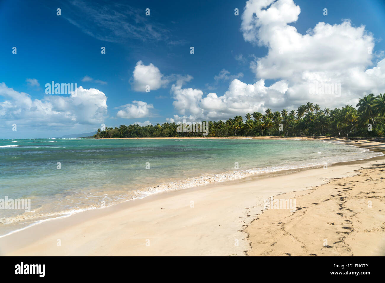 palm fringed sandy beach of El Portillo, Las Terrenas, Samana ...