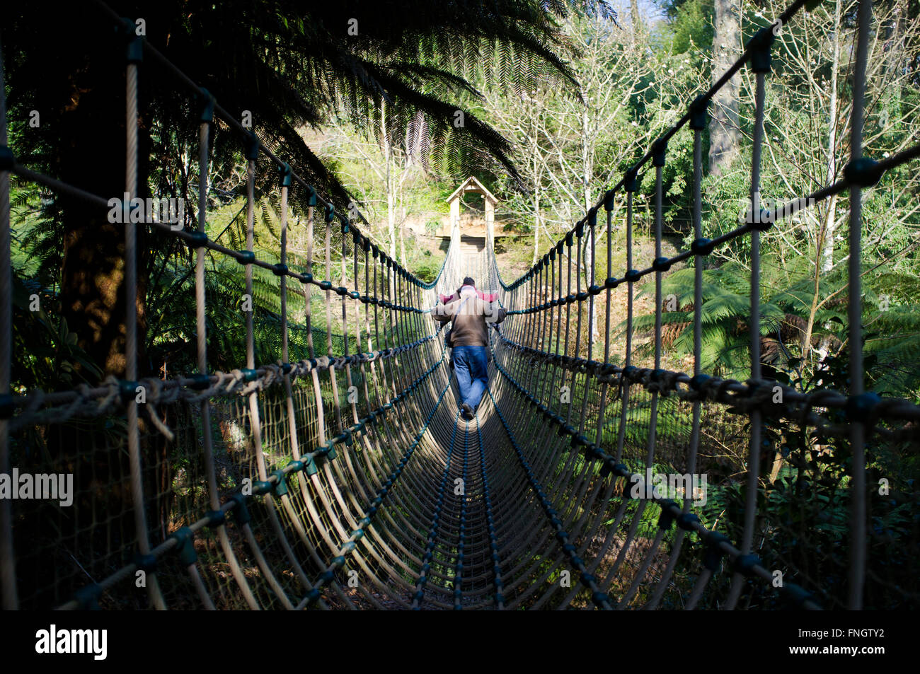 The Lost Gardens of Heligan, Cornwall, UK Stock Photo - Alamy