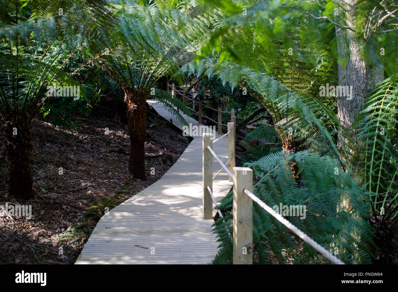 The Lost Gardens of Heligan, Cornwall, UK Stock Photo - Alamy