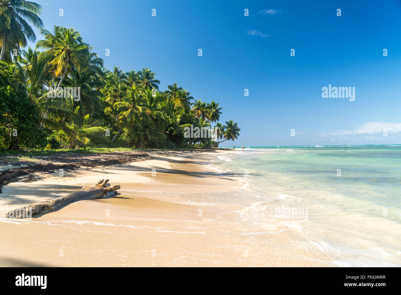 El portillo samana peninsula hi-res stock photography and images - Alamy