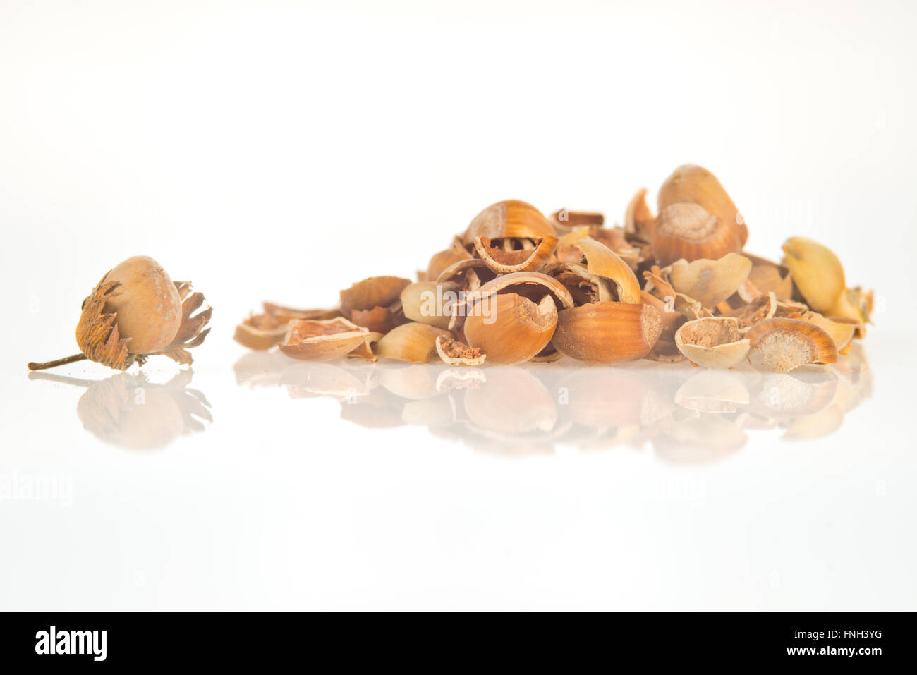 Hazel walnut shell Stock Photo - Alamy