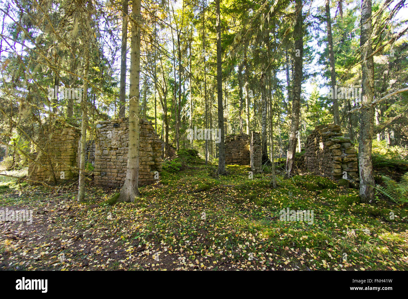 Ruins of an old manor house in the woods. Estonia, Europe Stock Photo ...
