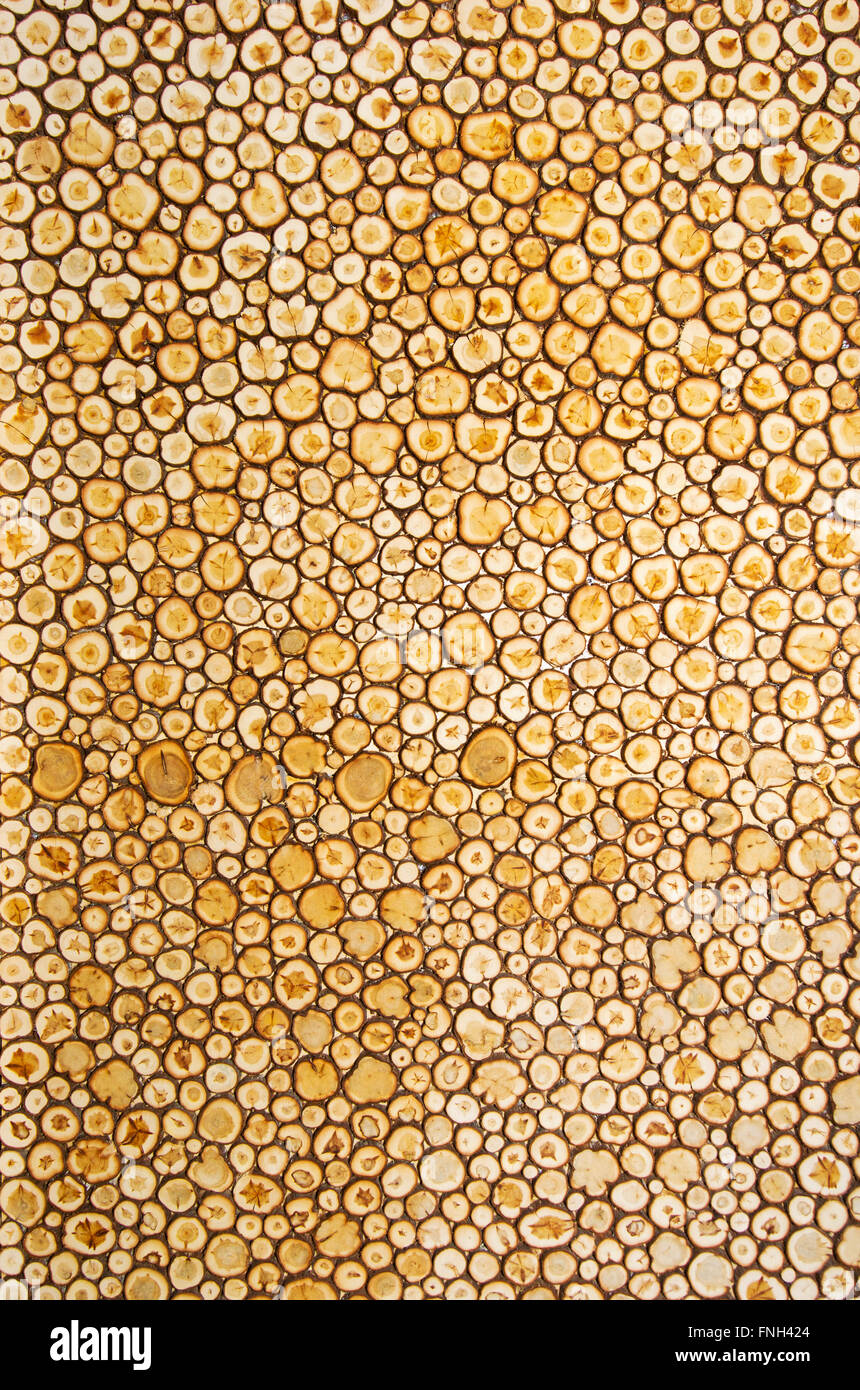 Stacked juniper wall, natural wood background Stock Photo - Alamy