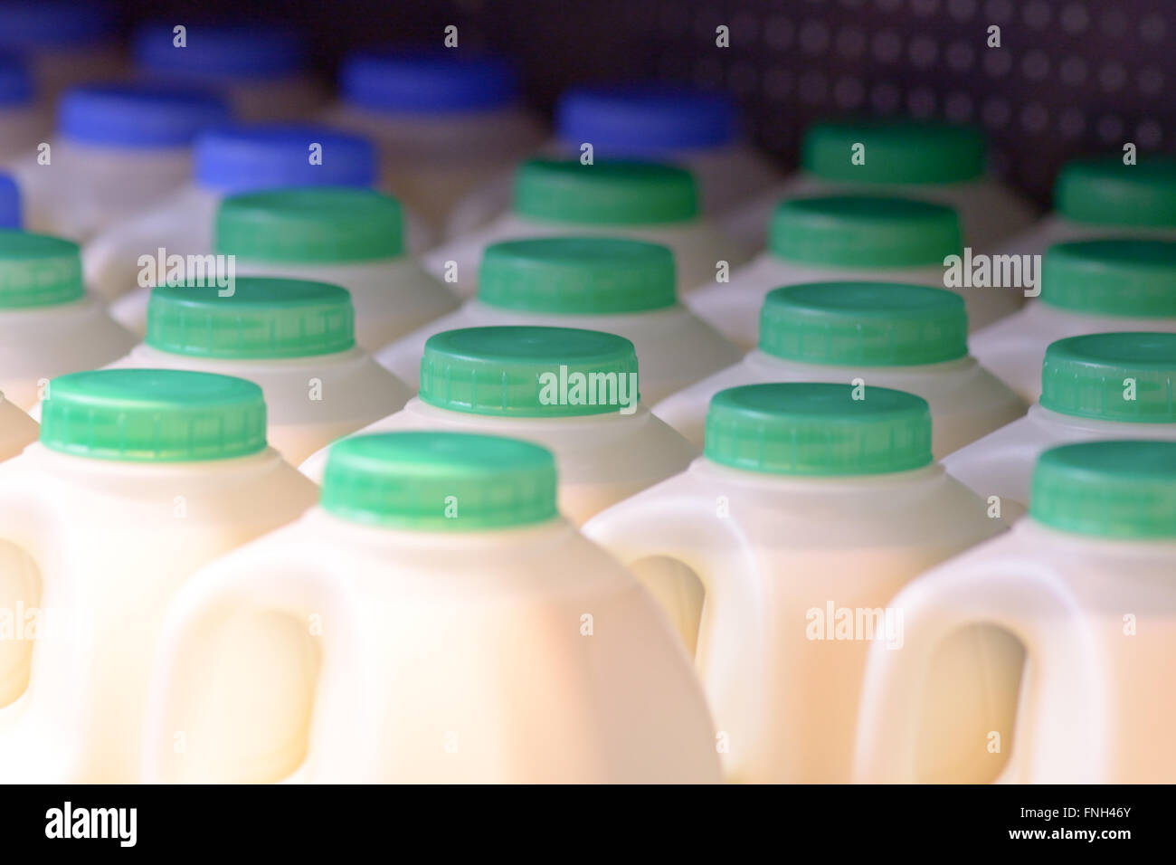 Plastic milk bottles in shop - with different coloured tops to signify ...