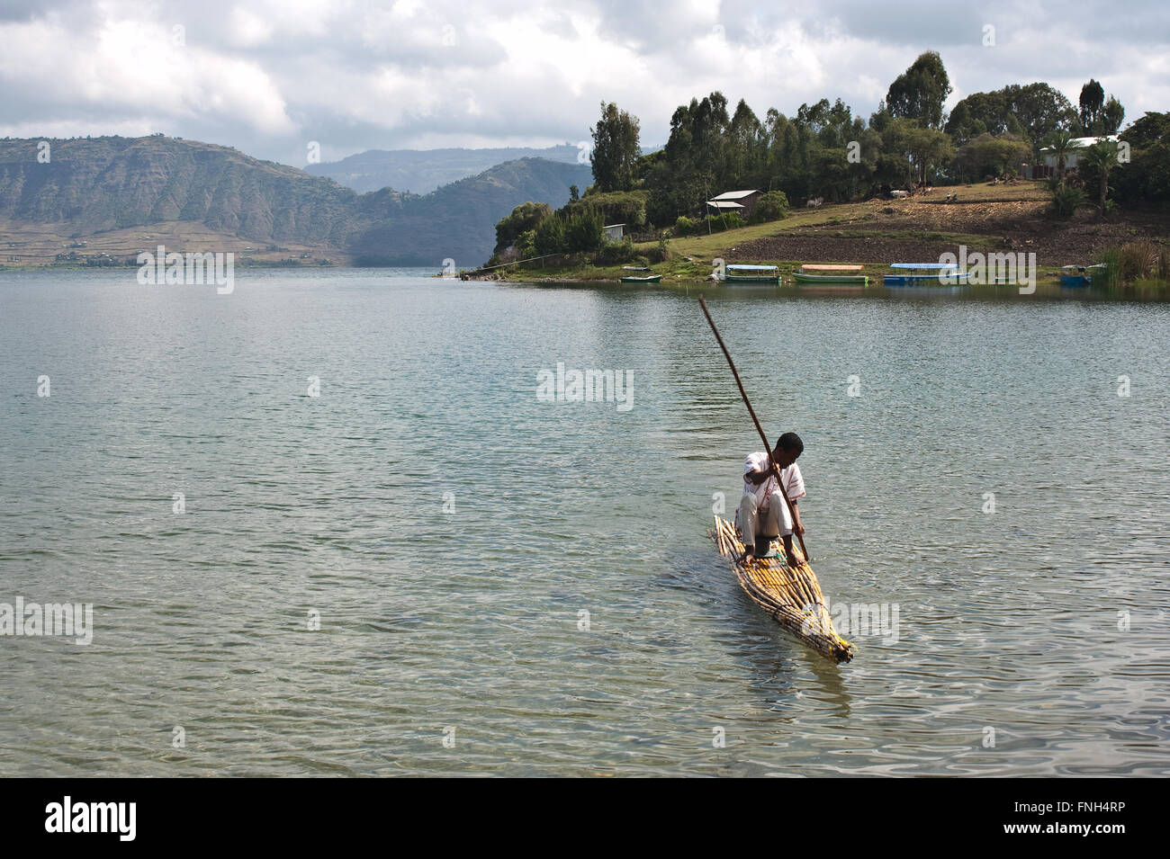 Man boating on a papyrus boat ( Ethiopia Stock Photo - Alamy
