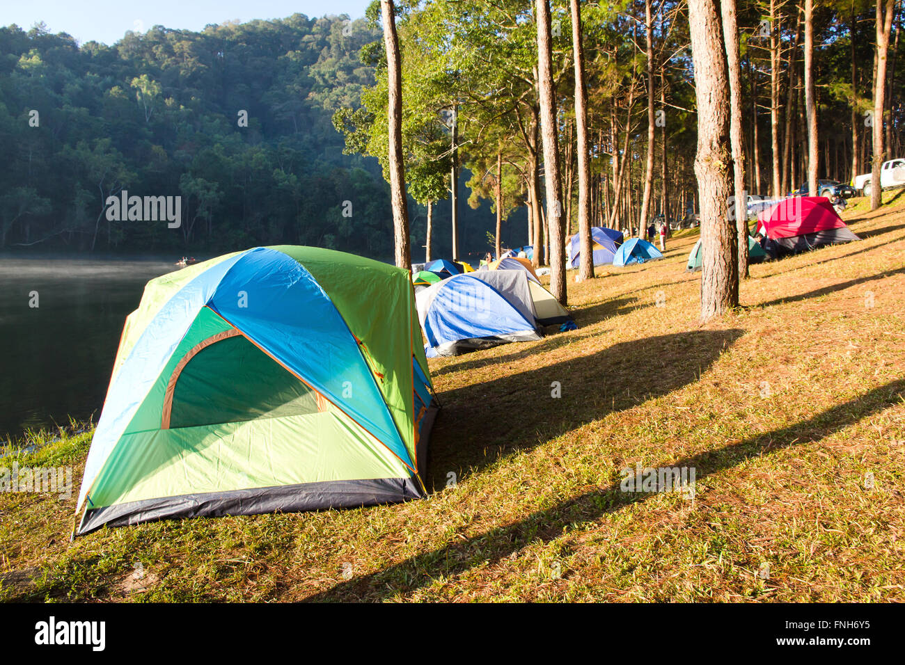 Pang Tong Under Royal Forest Park Stock Photo - Alamy