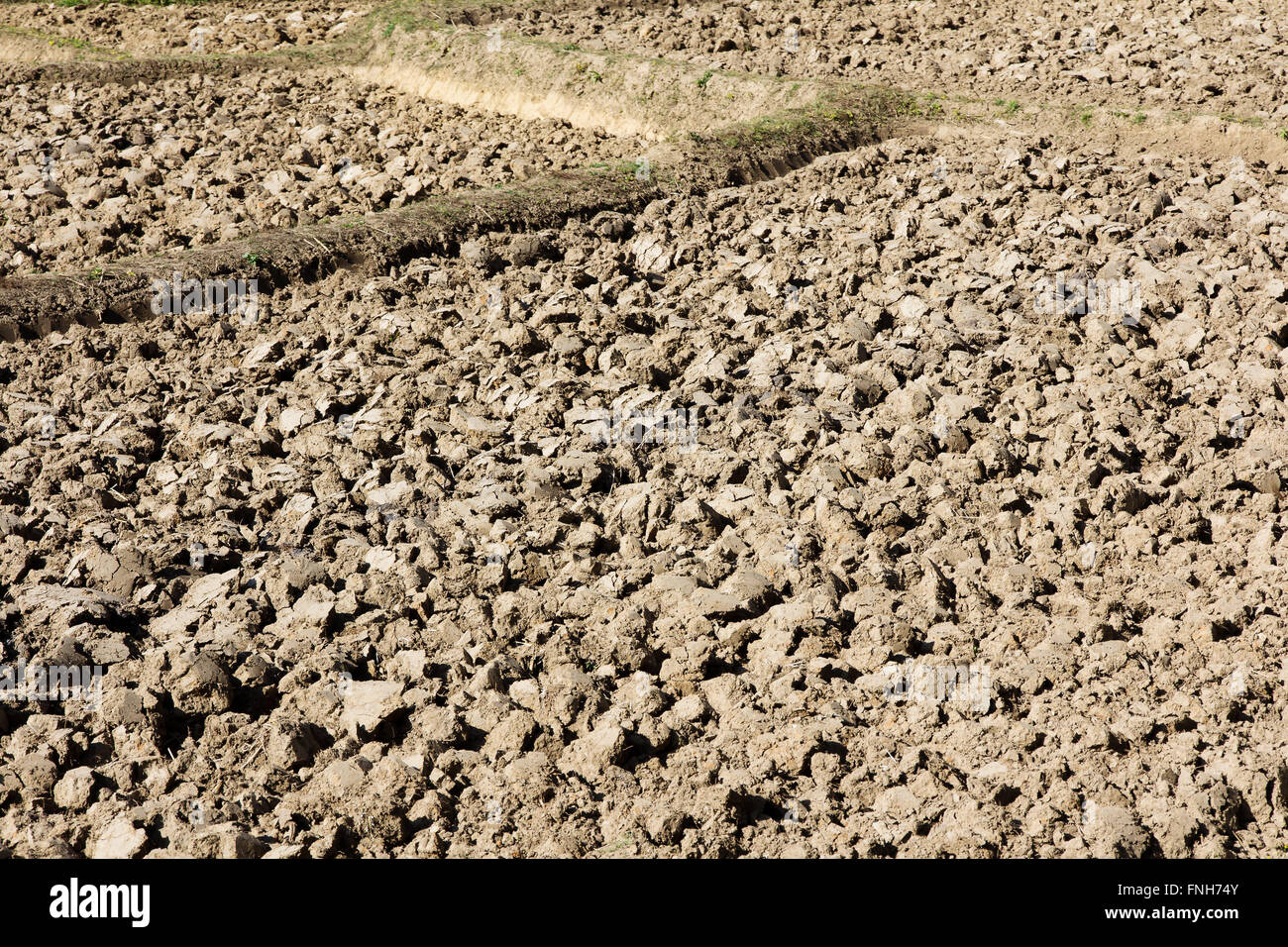 paddy-field ridge,Traditional farming Stock Photo - Alamy