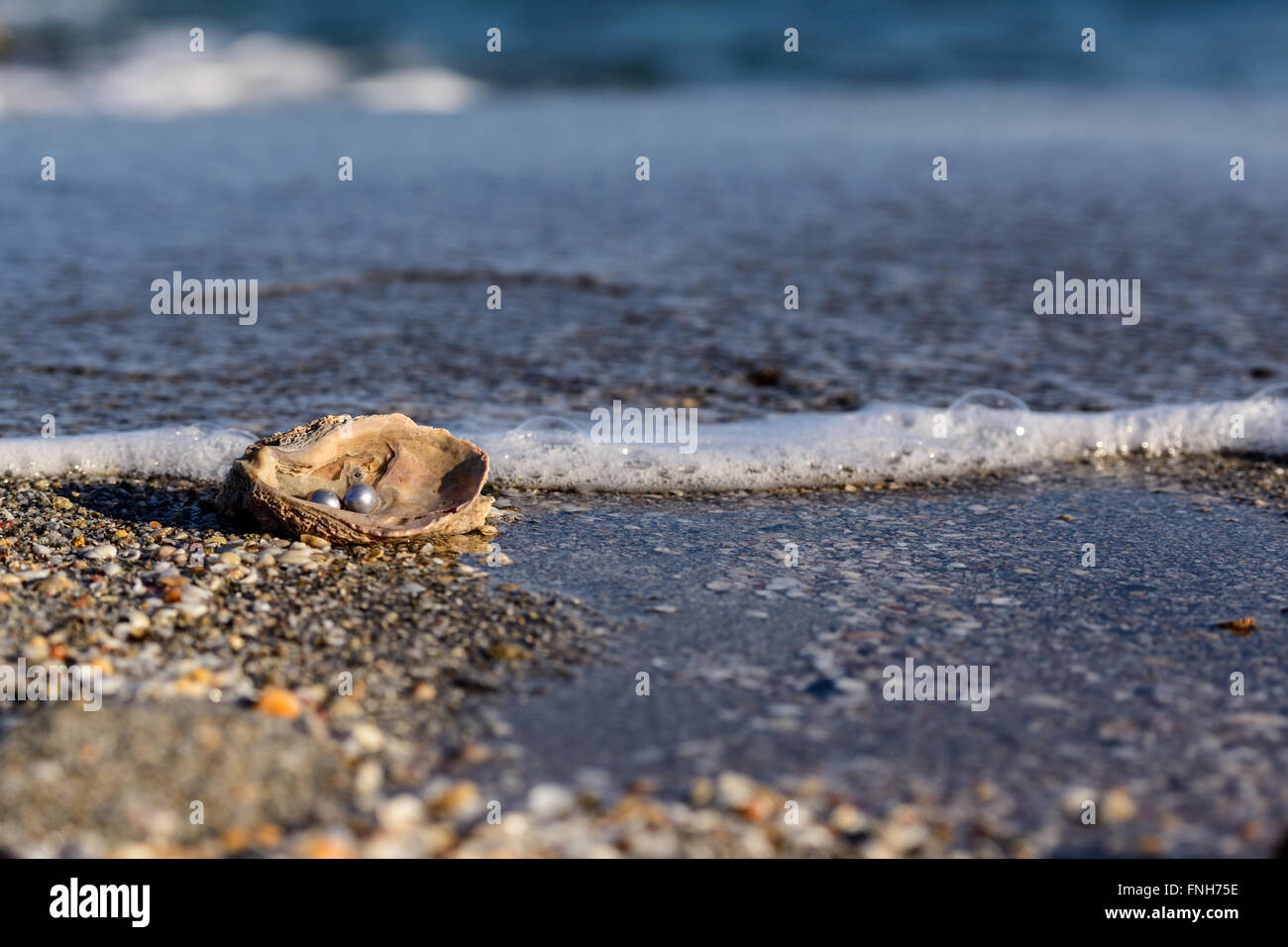 Australian pearls hi-res stock photography and images - Alamy