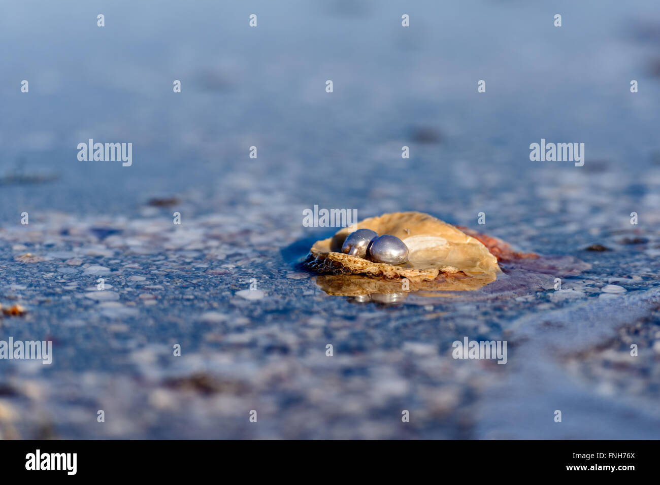 Australian pearls hi-res stock photography and images - Alamy