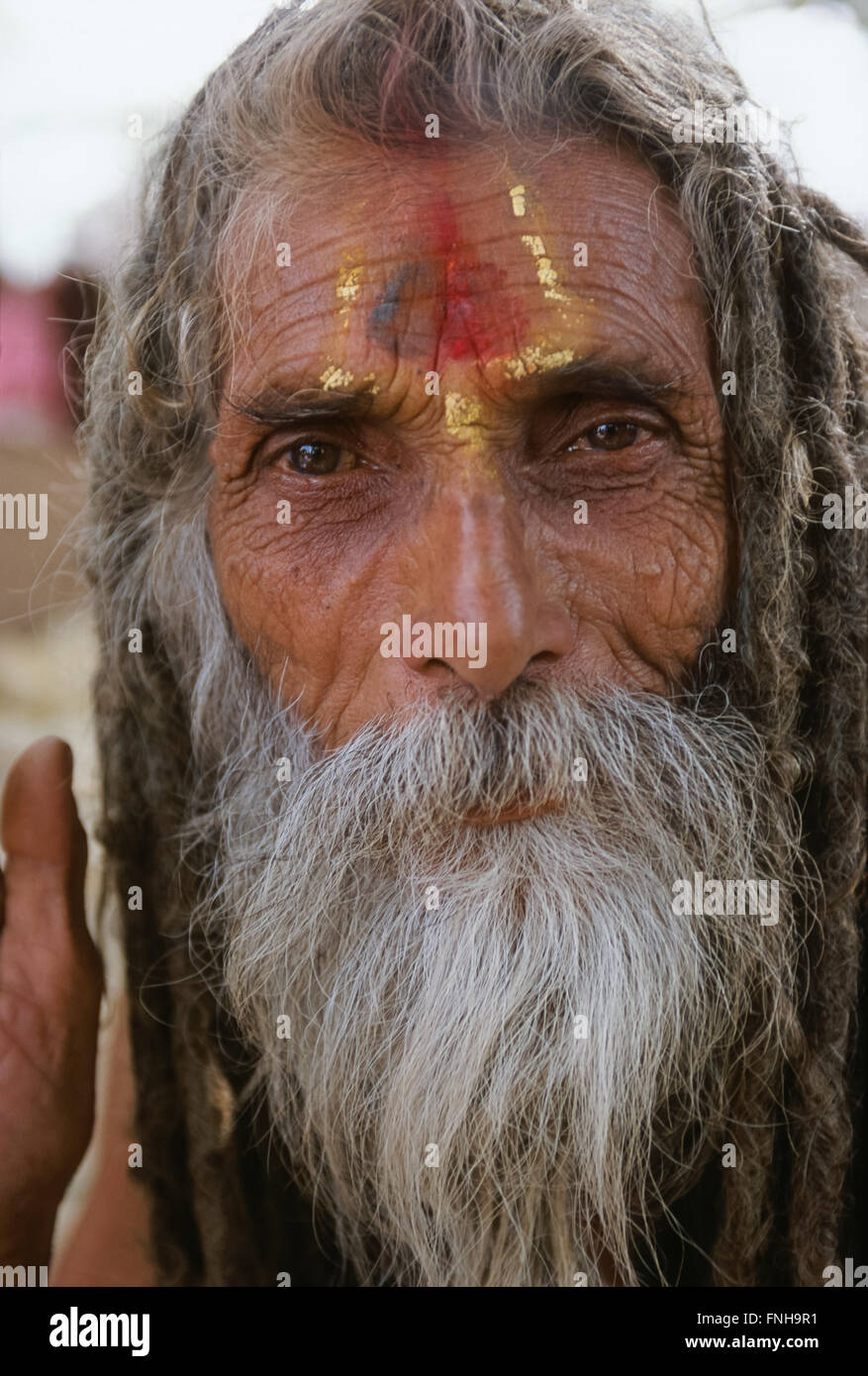 Naga (naked) Sadhu with dreadlocks and a beard at the Simhastha Kumbh ...