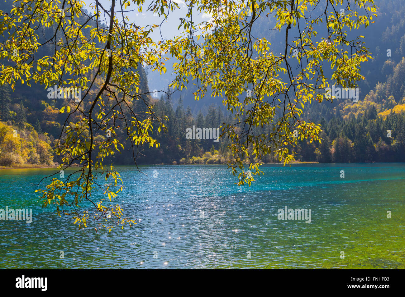 Colorful lake in jiuzhaigou hi-res stock photography and images - Alamy