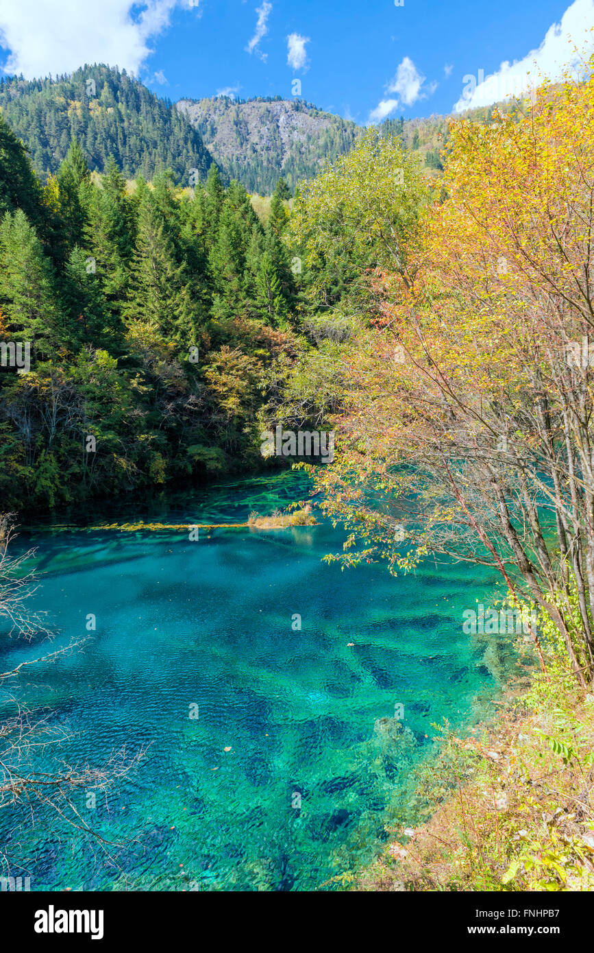 Colorful Lake, Jiuzhaigou National Park, Sichuan Province, China ...