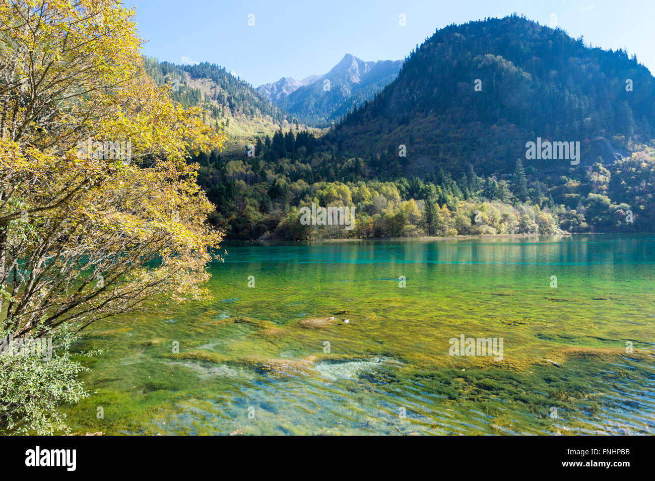 Colorful lake in jiuzhaigou hi-res stock photography and images - Alamy