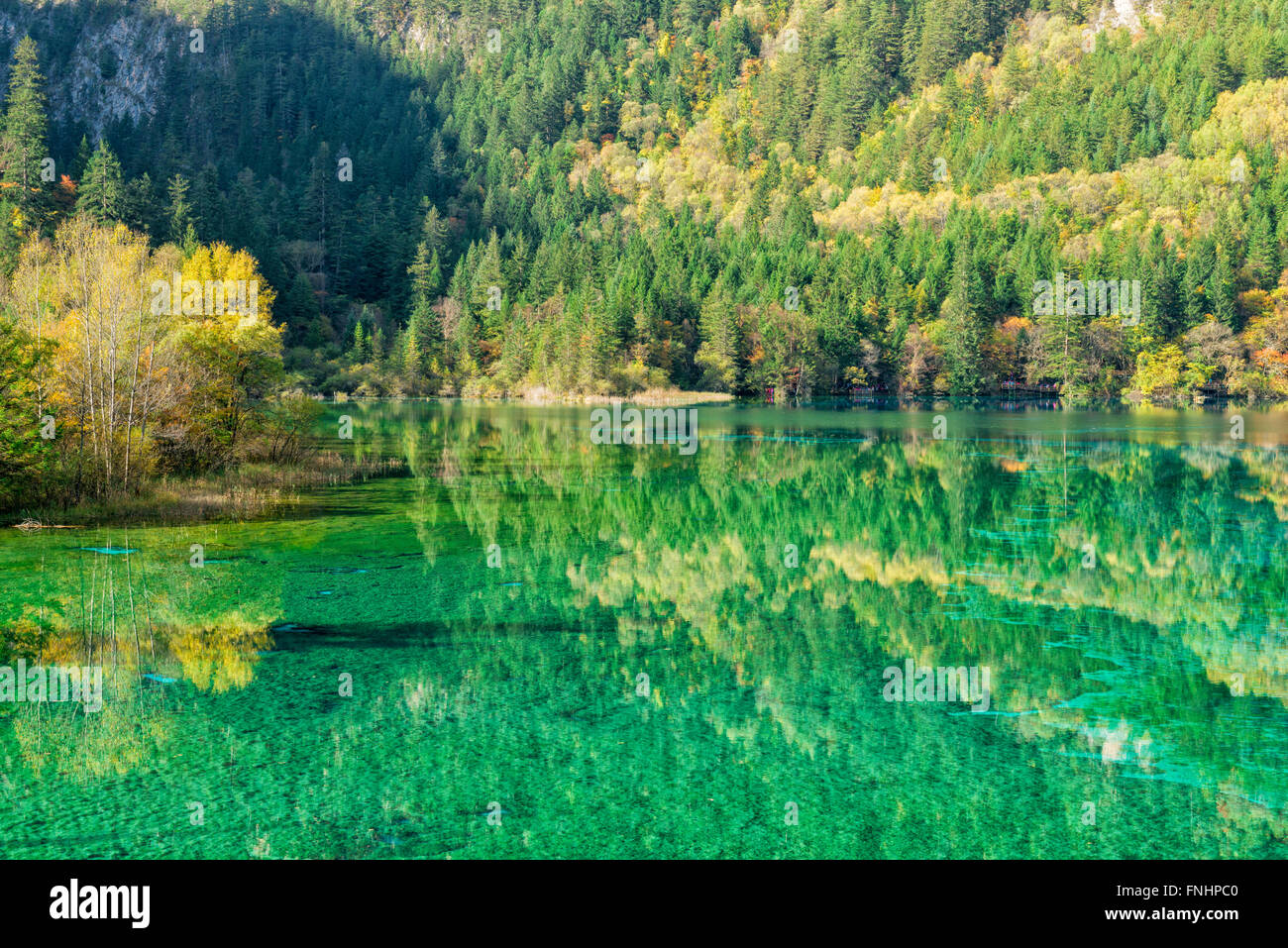 Colorful lake in jiuzhaigou hi-res stock photography and images - Alamy