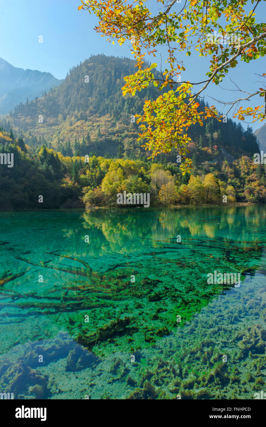 Jiuzhaigou np hi-res stock photography and images - Alamy