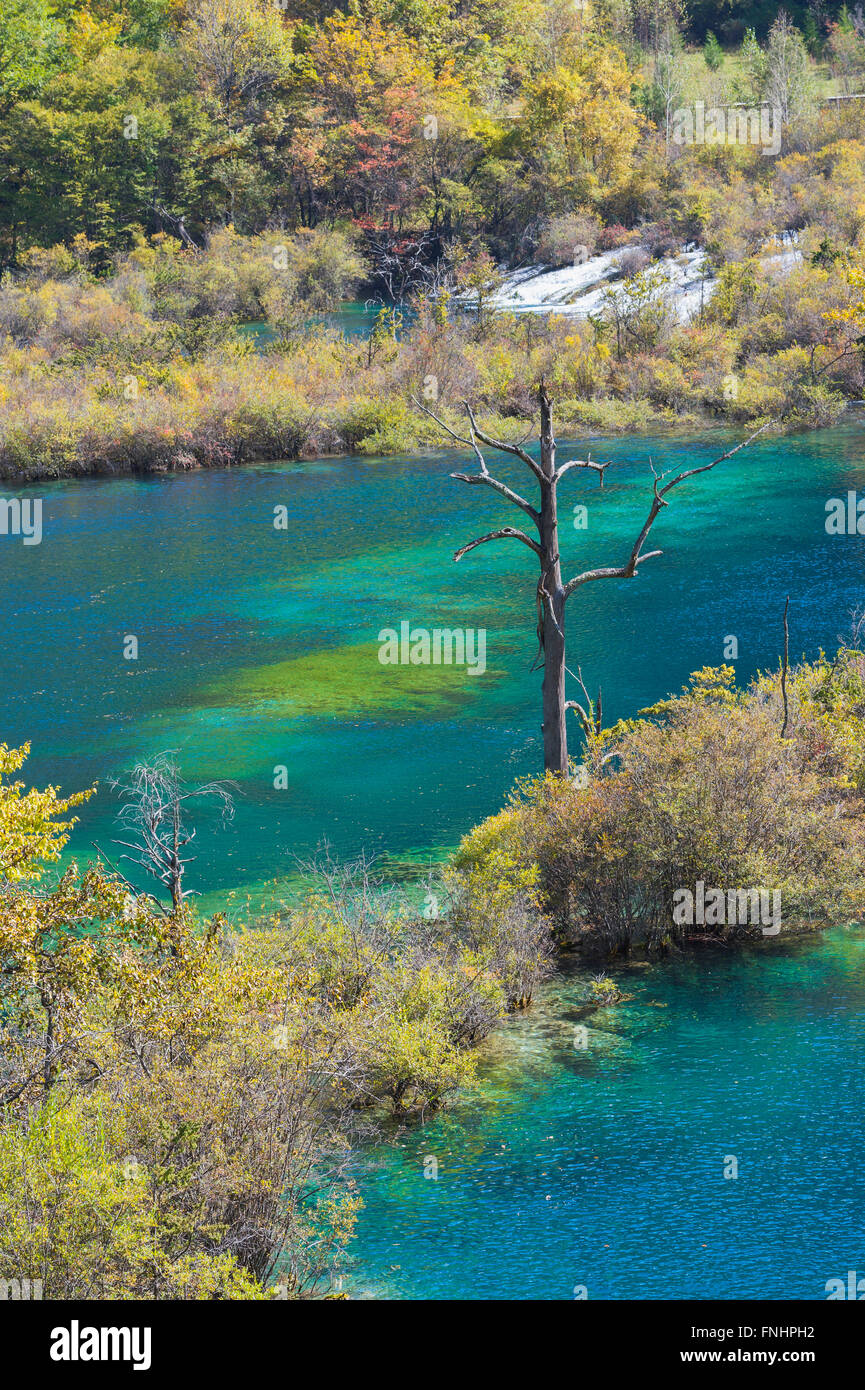 Sparkling lake Cascades, Jiuzhaigou National Park, Sichuan Province ...