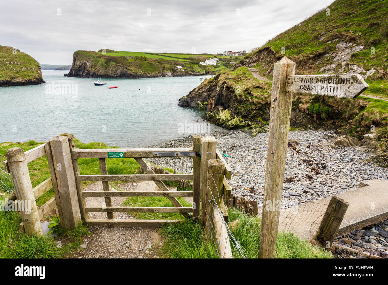 Coastal path at Abercastle, Pembrokeshire, west Wales UK Stock Photo ...