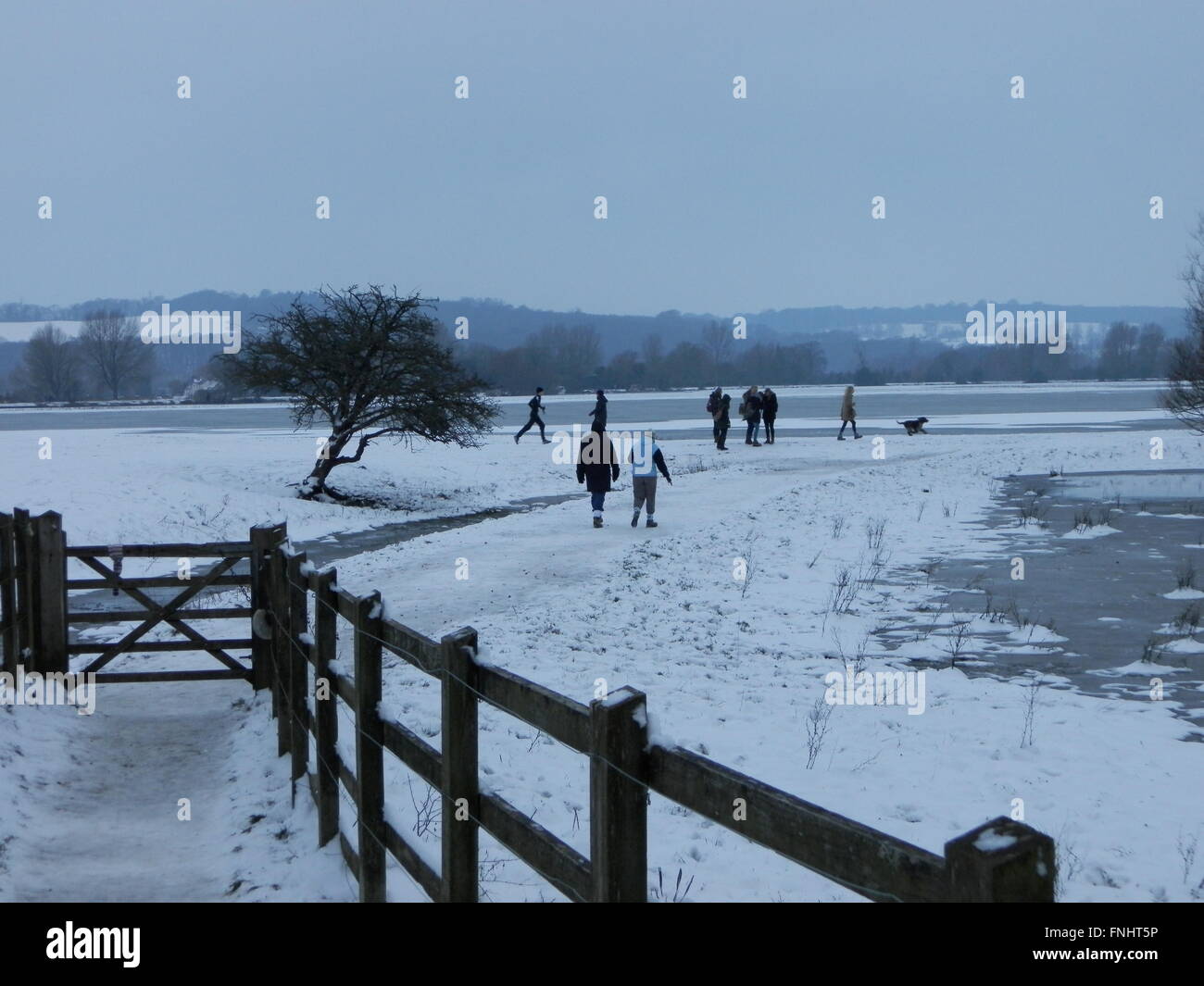 Port Meadow, in the snow Stock Photo - Alamy