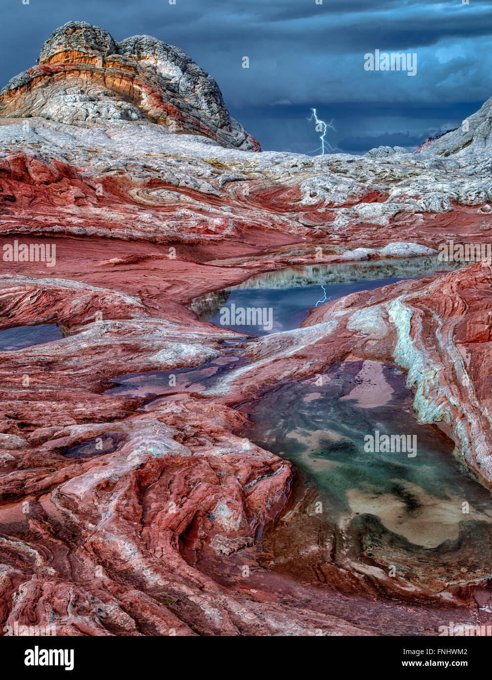 White Pocket with rain water pools. Vermilion Cliffs National Monument ...