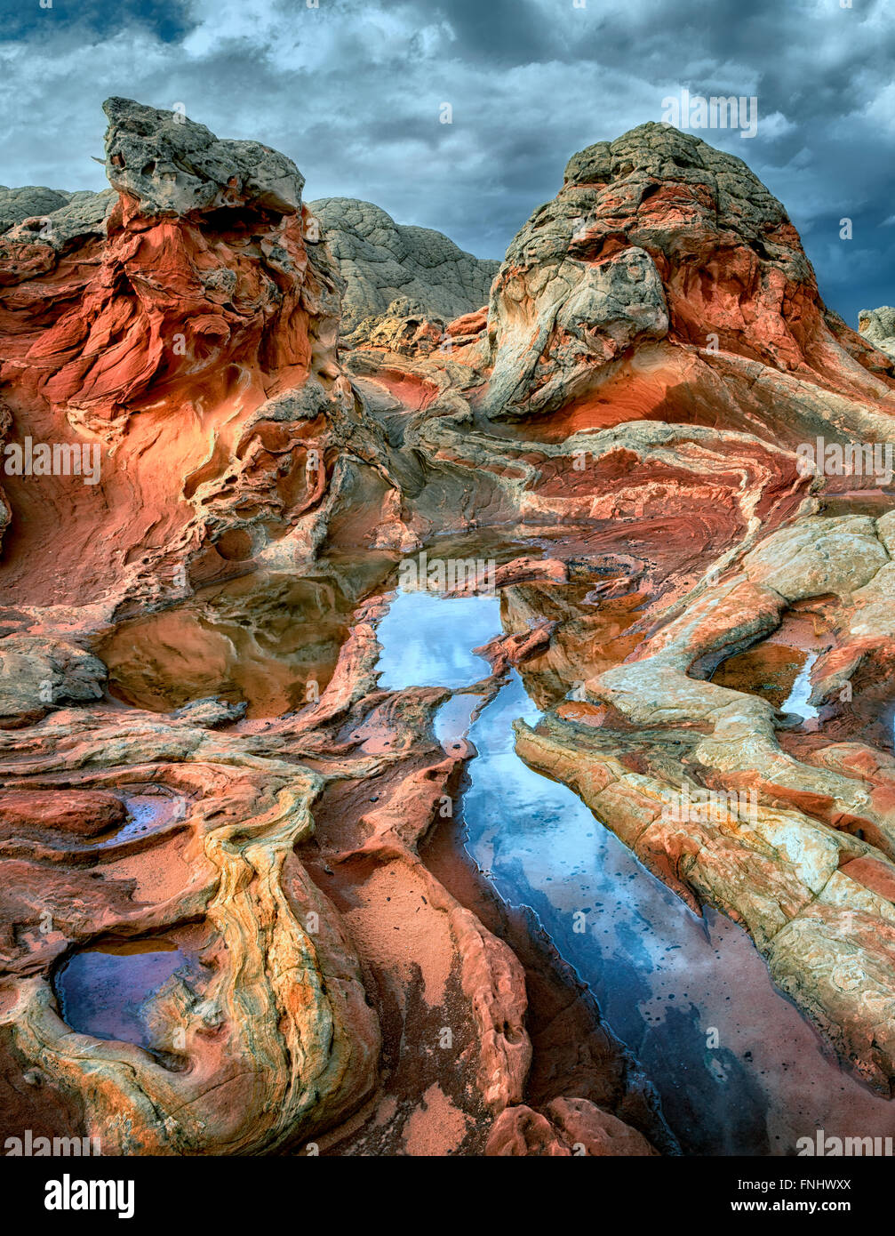 White pocket arizona hi-res stock photography and images - Alamy