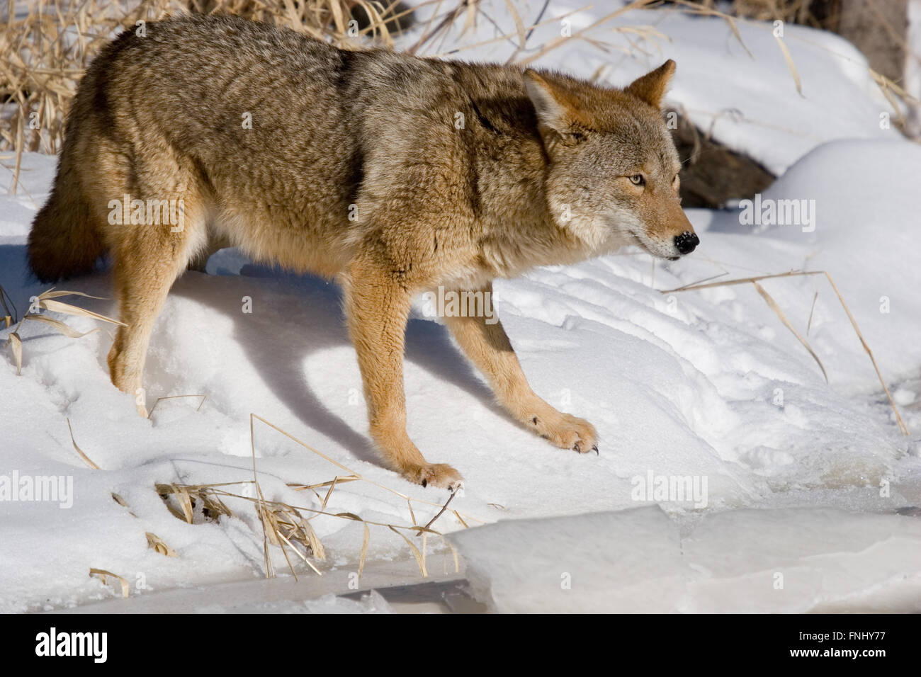 Hunter lake minnesota hi-res stock photography and images - Alamy
