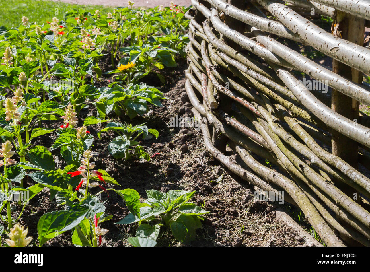 A makeshift fence of twigs and sticks Stock Photo - Alamy
