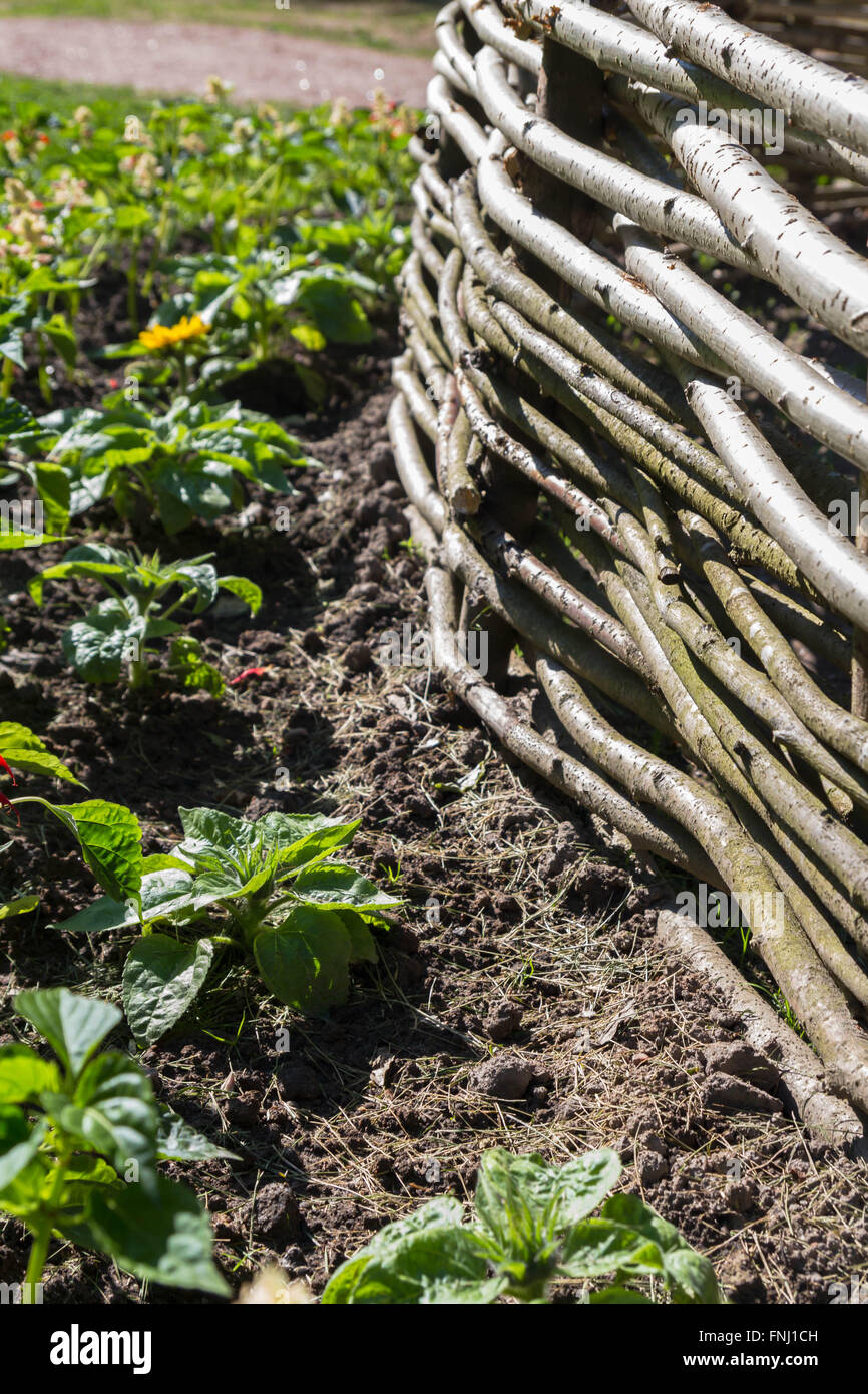 A makeshift fence of twigs and sticks Stock Photo - Alamy