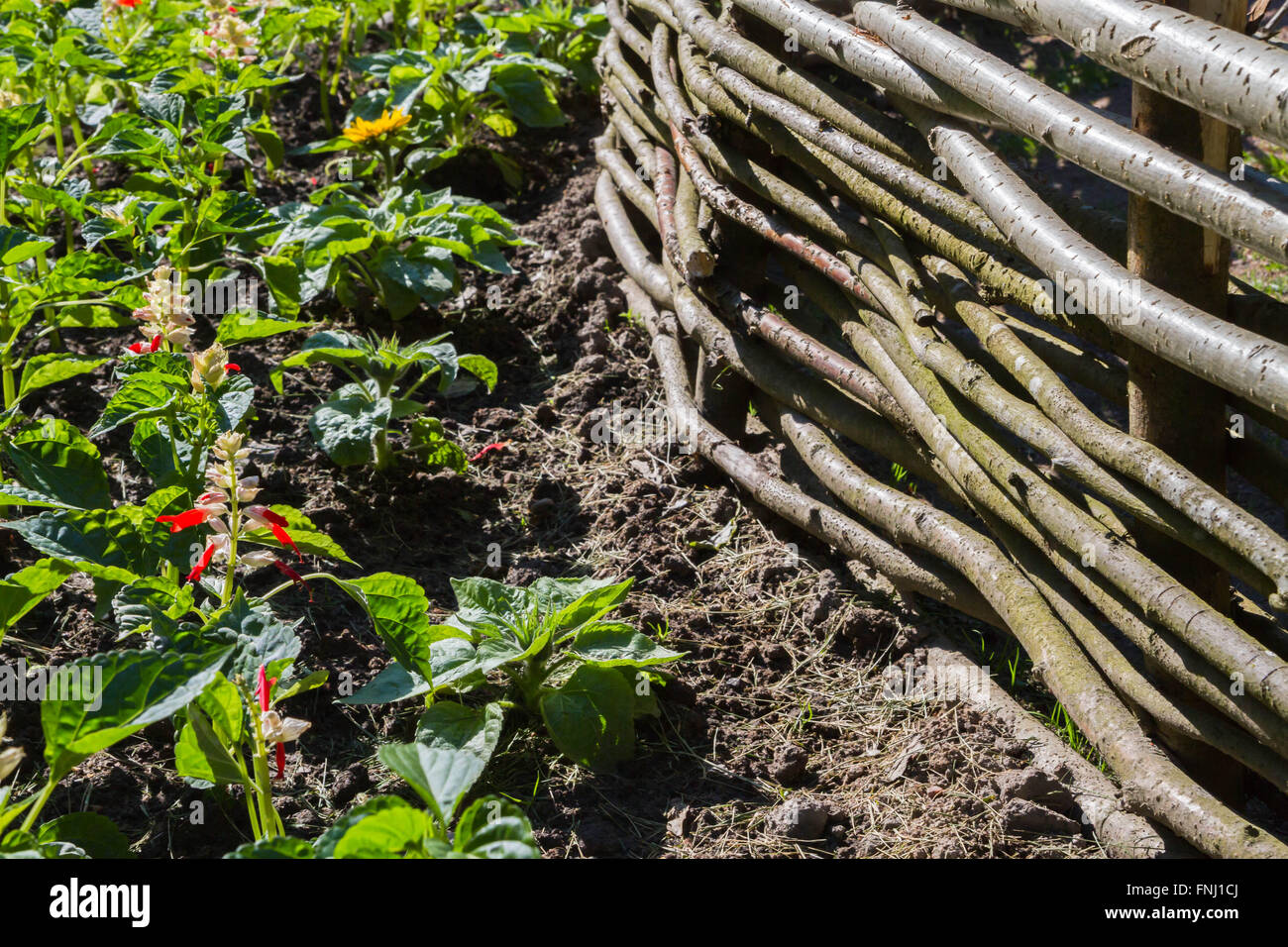 A makeshift fence of twigs and sticks Stock Photo - Alamy