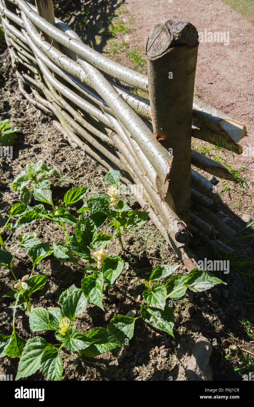 A makeshift fence of twigs and sticks Stock Photo - Alamy