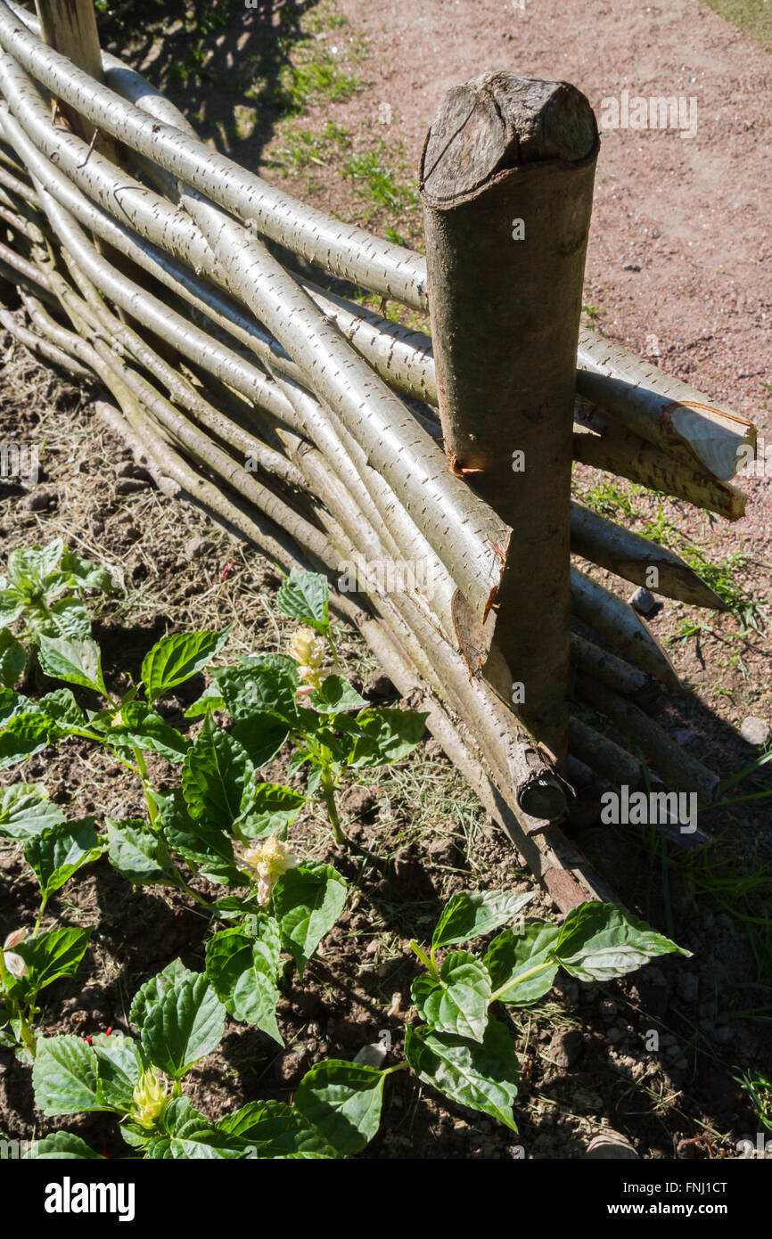 A makeshift fence of twigs and sticks Stock Photo - Alamy
