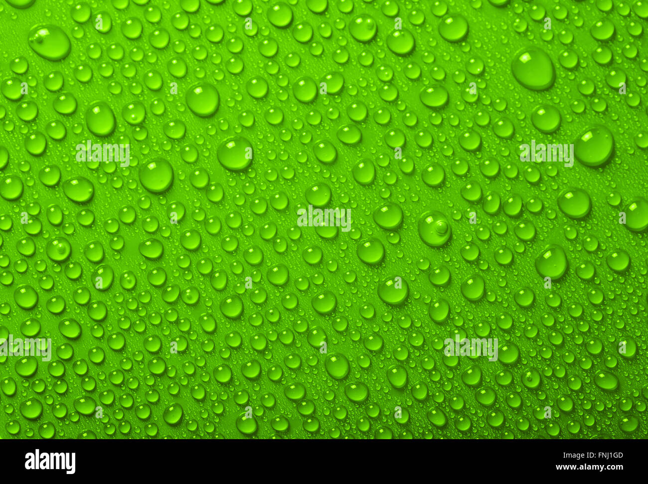 Water Drops On Green Background Stock Photo - Alamy