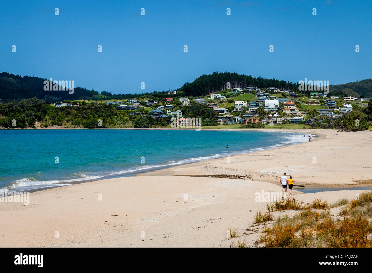 Langs beach northland nz hi-res stock photography and images - Alamy