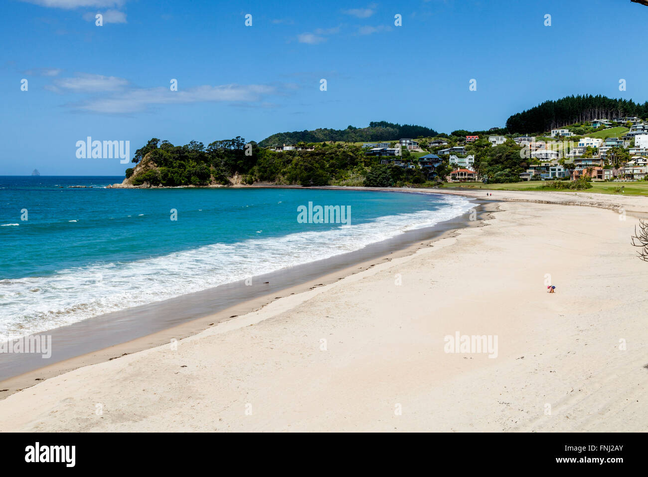 Langs beach northland nz hi-res stock photography and images - Alamy