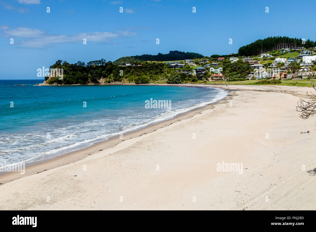 Langs Beach, Waipu Area, Northland, North Island, New Zealand Stock ...