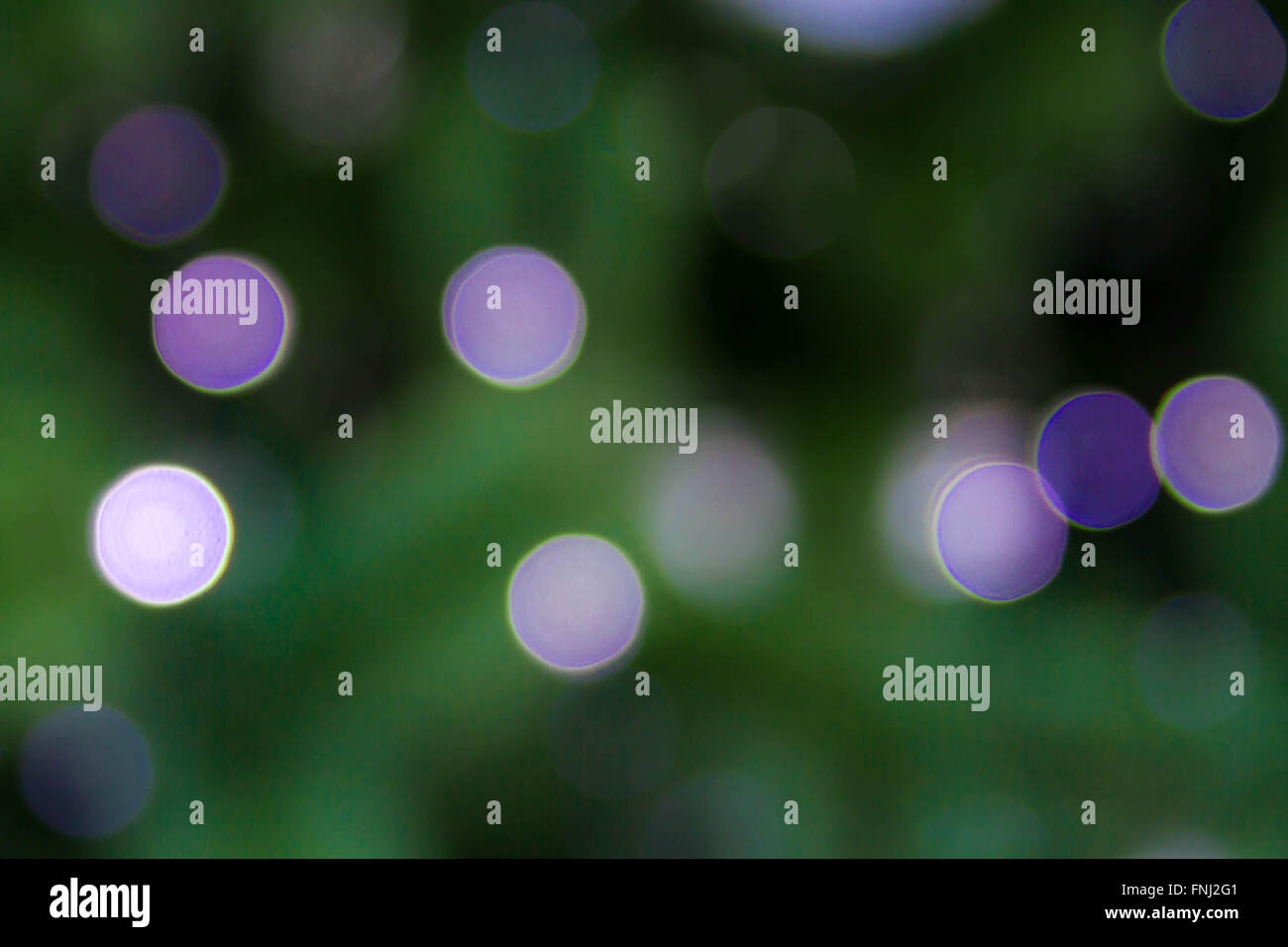 Boke hi-res stock photography and images - Alamy