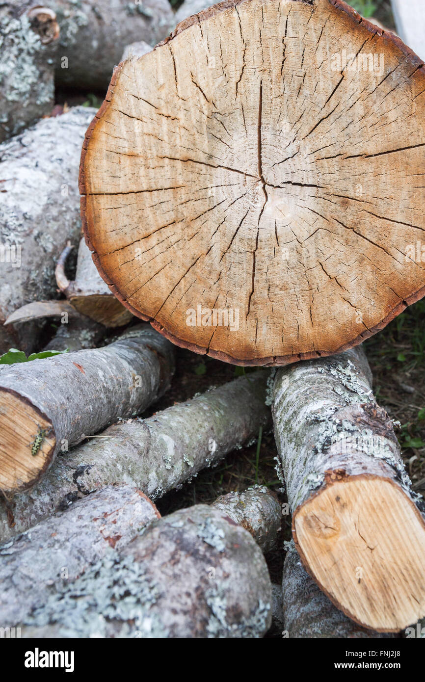 Dry logs stacked in a pile in the garden Stock Photo - Alamy