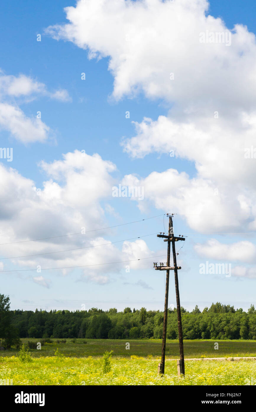 Old electric pole in a field in summer Stock Photo - Alamy