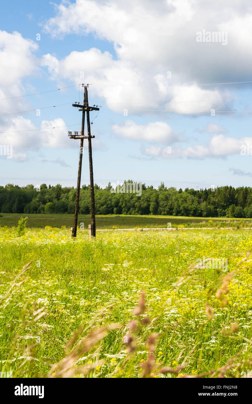 Flower electric field hi-res stock photography and images - Alamy