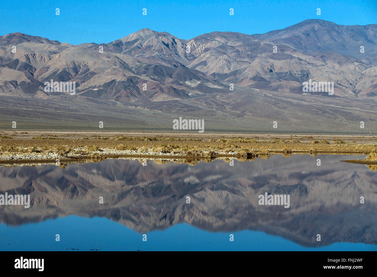 Panamint mountain range reflected in a pond, Death Valley National Park ...