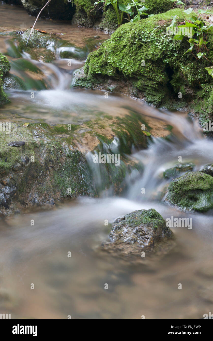 nature, Portugal,river, long exposure, forest Stock Photo - Alamy