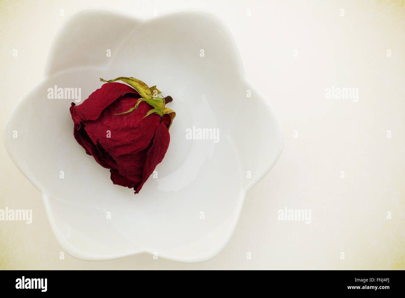 Dried Red Rose in White Bowl Stock Photo - Alamy