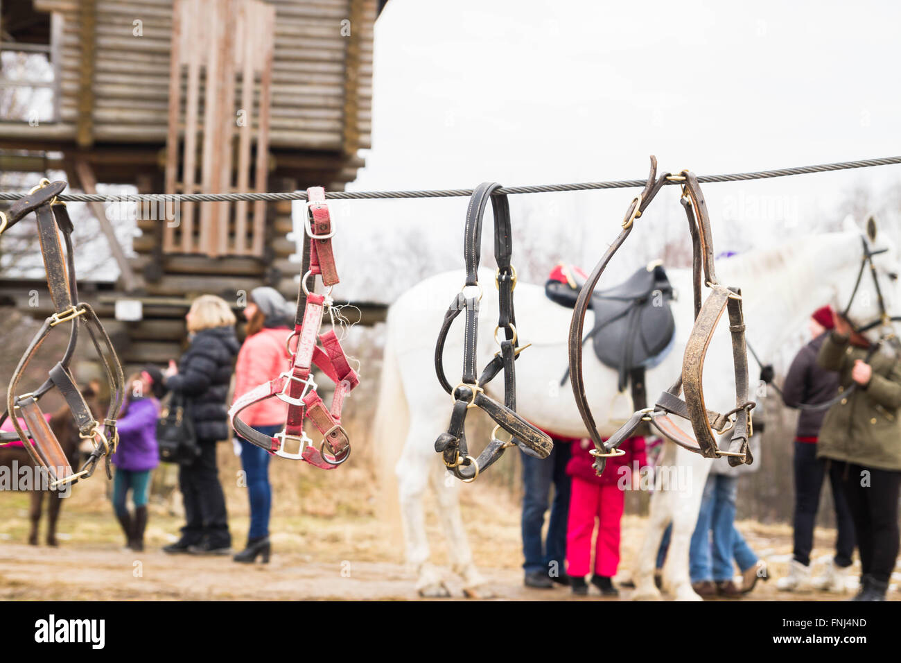 Reins for horses are hanging on the rope Stock Photo - Alamy